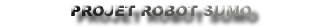 Seconde ISI - Projet Robot Sumo
